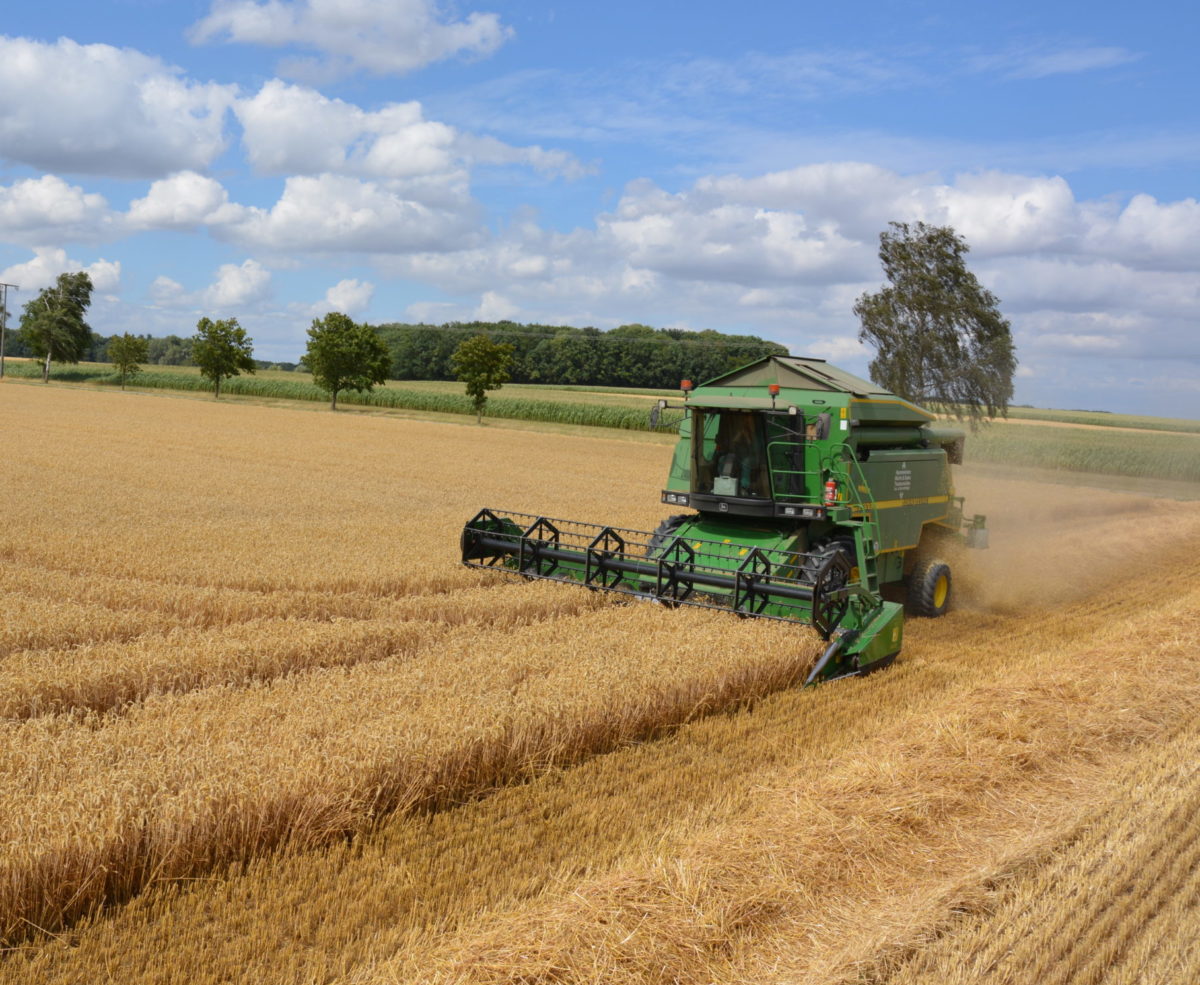 Dreschen & Pressen - Agrarservice Barth
